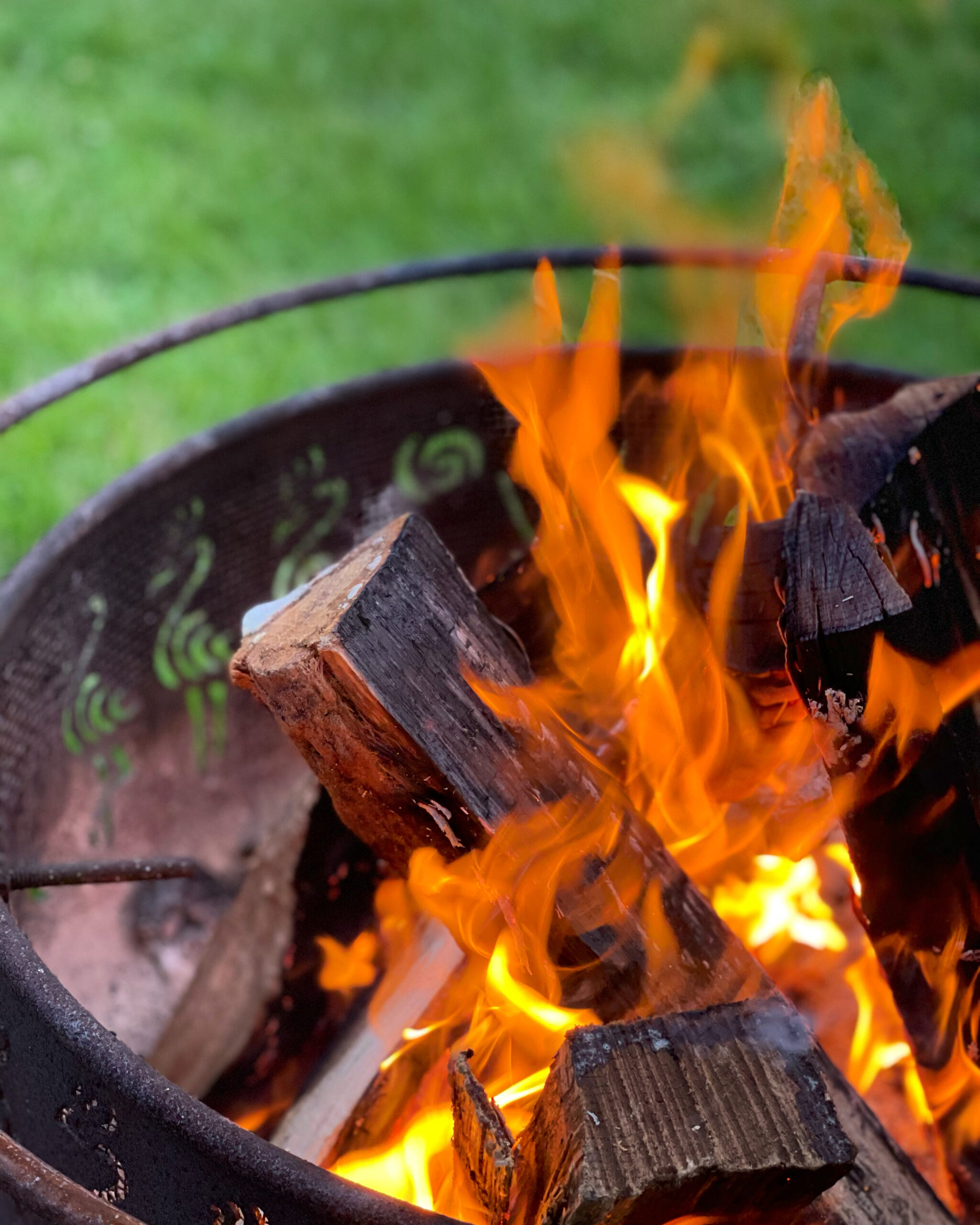 What are the Yamas and Niyamas ⋆