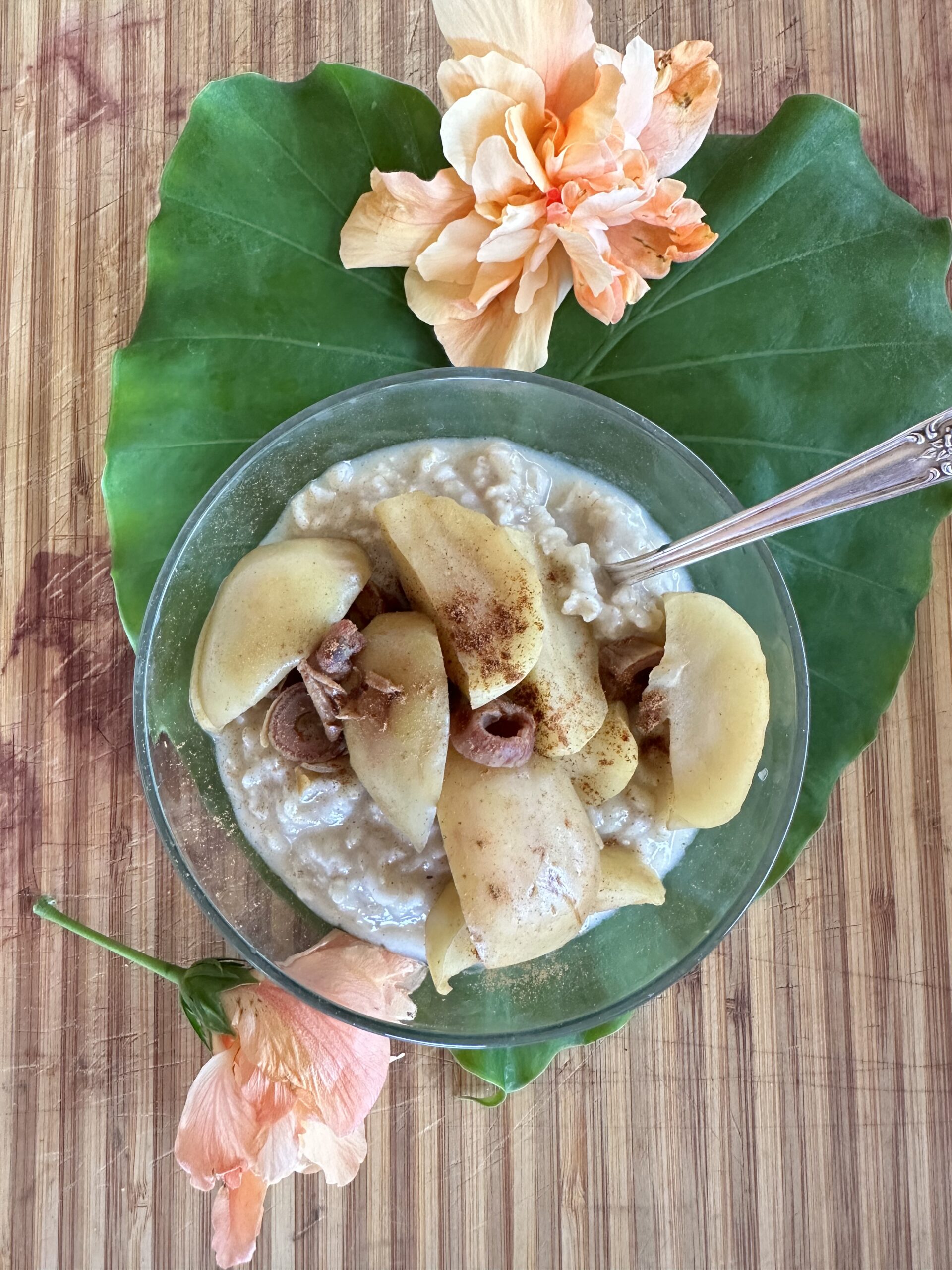 Coco-Apple Oats ⋆ Maha Vidya Yoga and Ayurveda